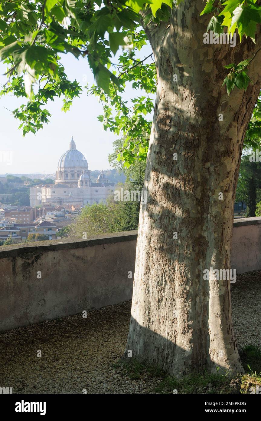 Italy, Lazio, Rome, Trastevere, Janiculum Hill, view to St Peter's with ...