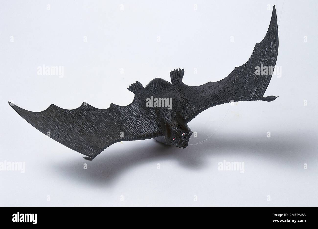 Vampire bat costume hi-res stock photography and images - Alamy