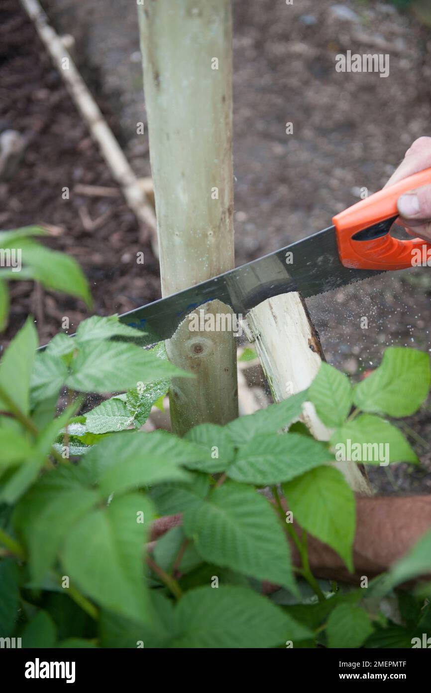 Fix image hi-res stock photography and images - Alamy