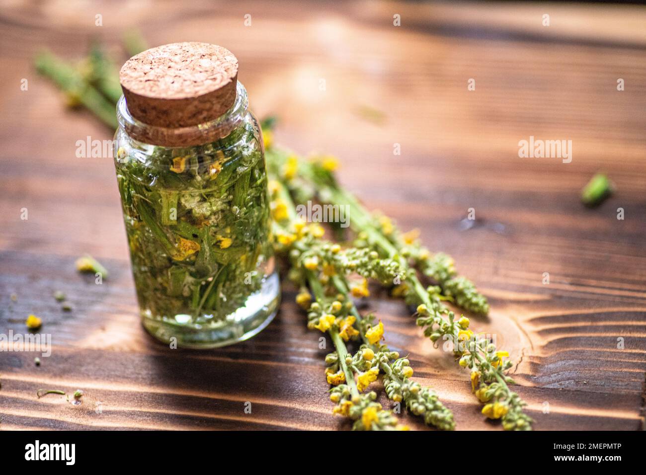 School sores hi-res stock photography and images - Alamy