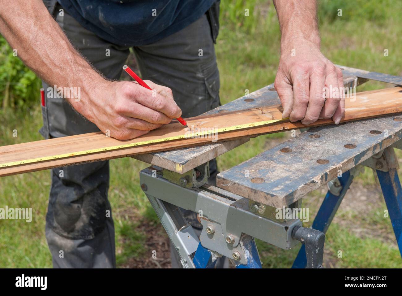 Man marking wood with a pencil prior to sawing Stock Photo - Alamy