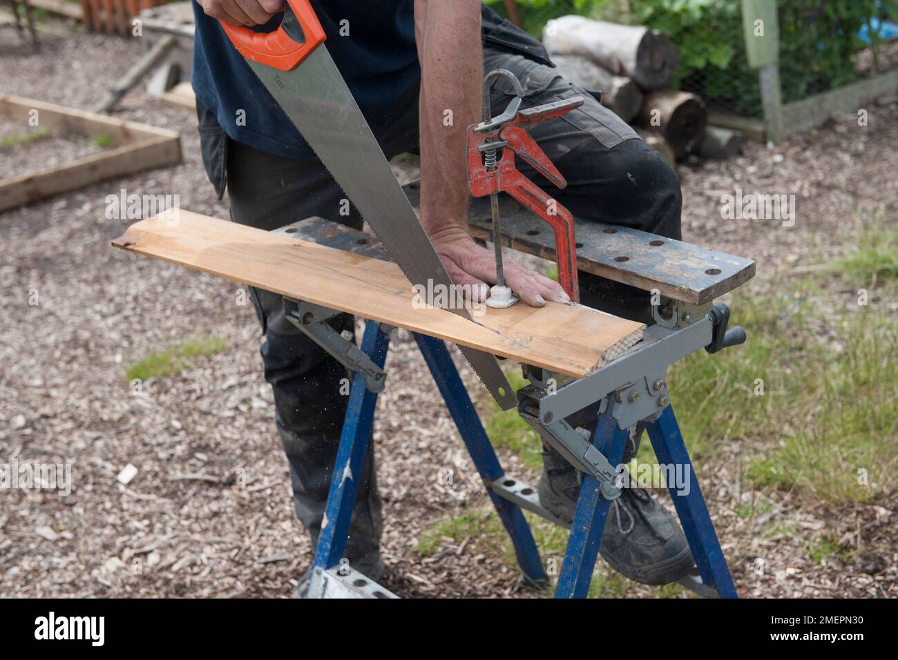 Sawing section hi-res stock photography and images - Alamy