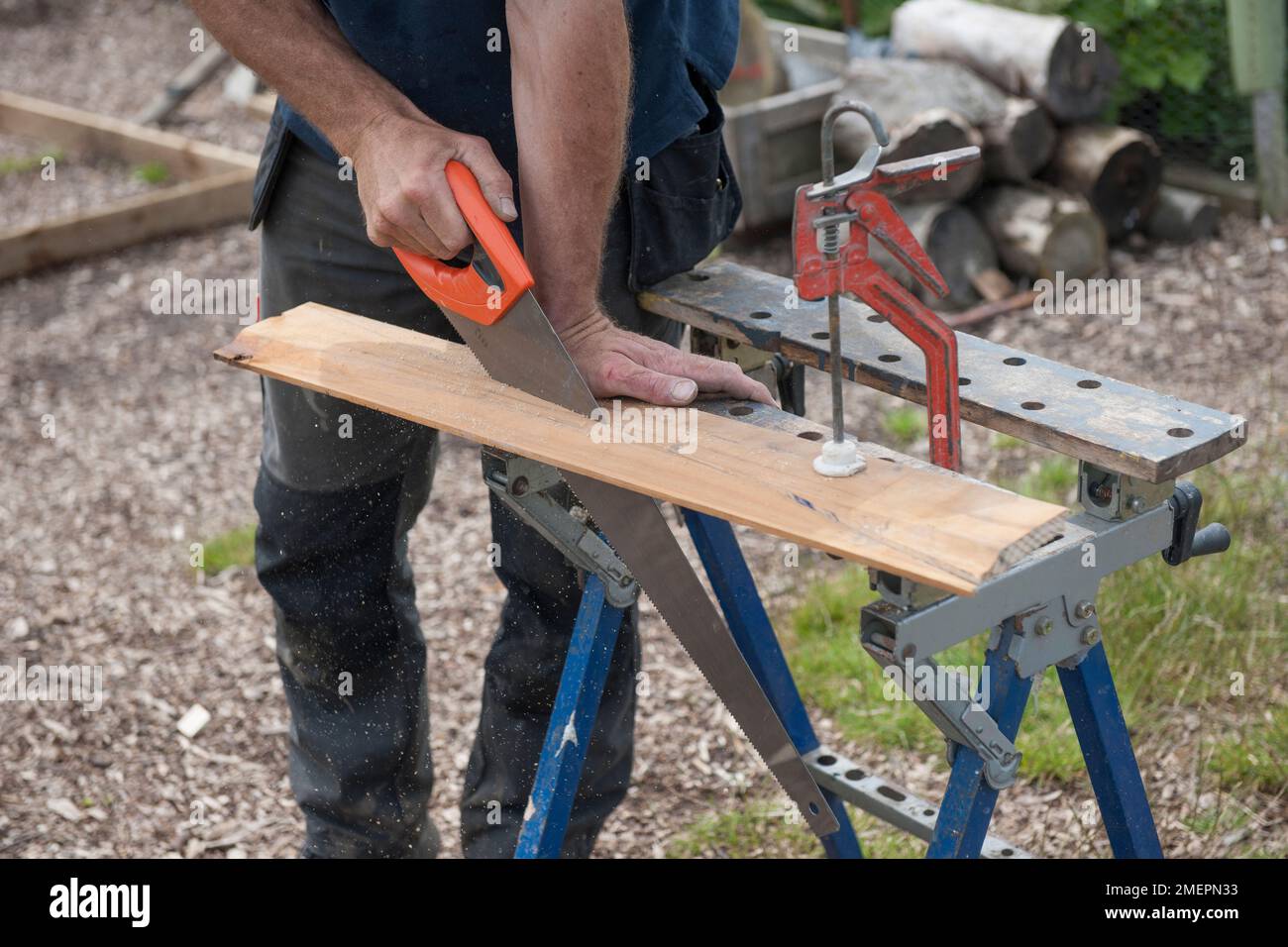 Sawing plank of wood Stock Photo - Alamy