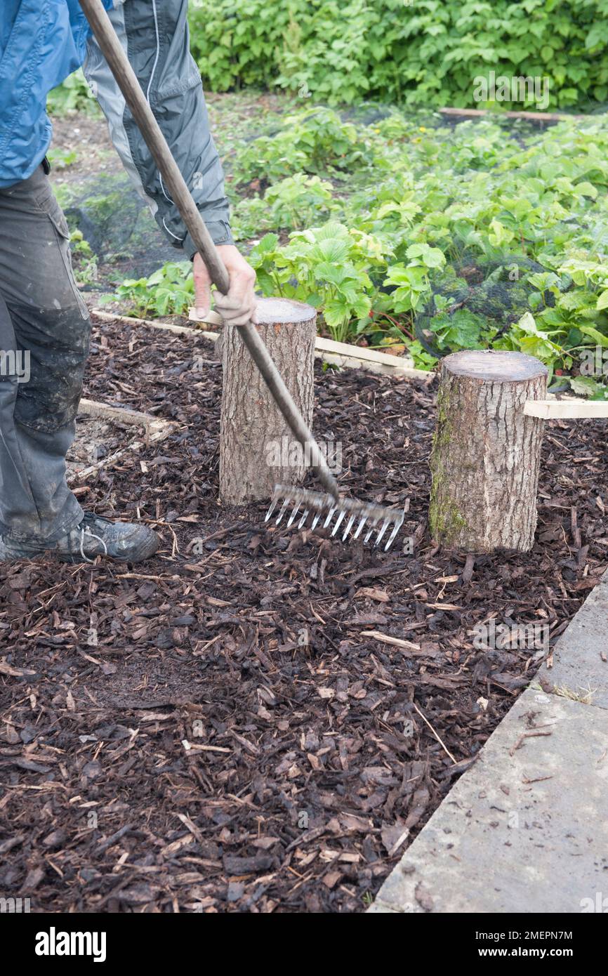 Raking bark chippings around two tree posts, constructing wooden bench ...