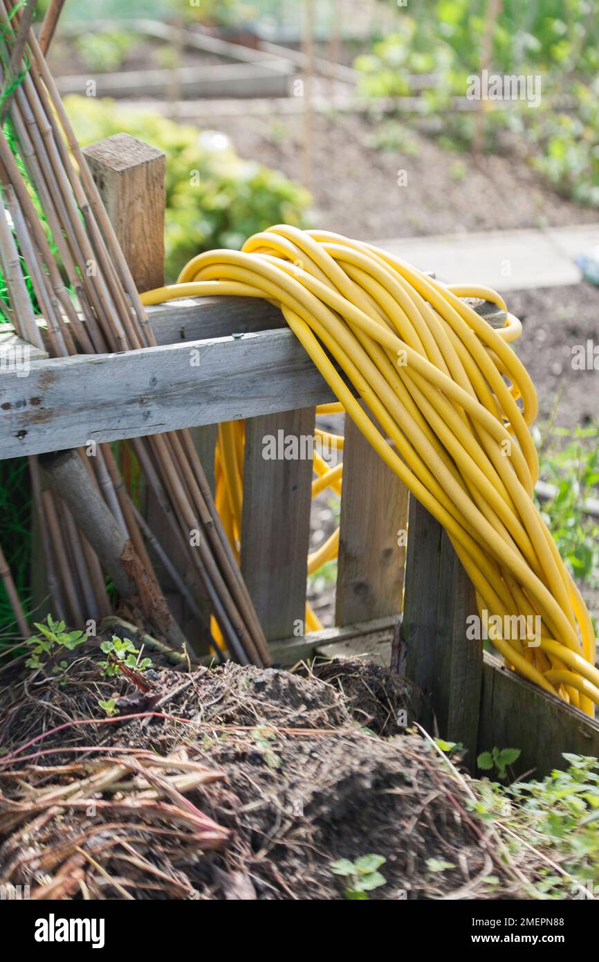 Gardening hosepipe hi-res stock photography and images - Alamy