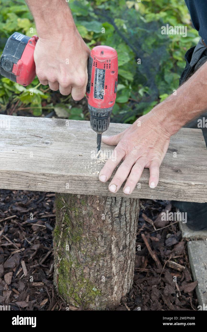 Constructing a bench using a drill Stock Photo - Alamy