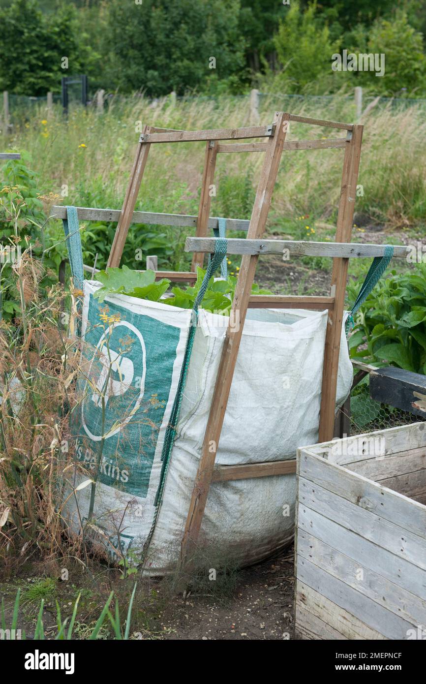 Organic waste sack Stock Photo - Alamy