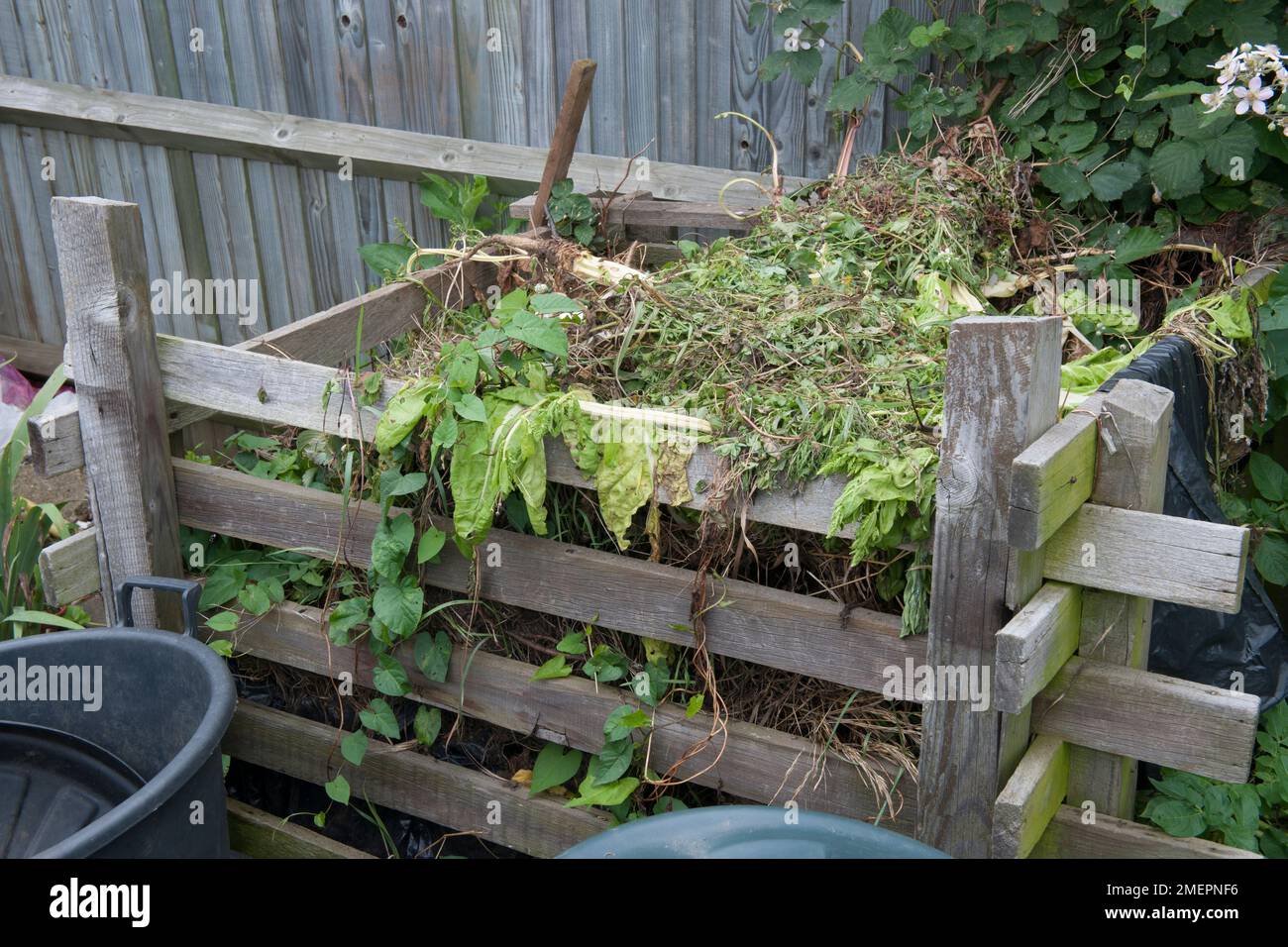 Heap plants hi-res stock photography and images - Alamy