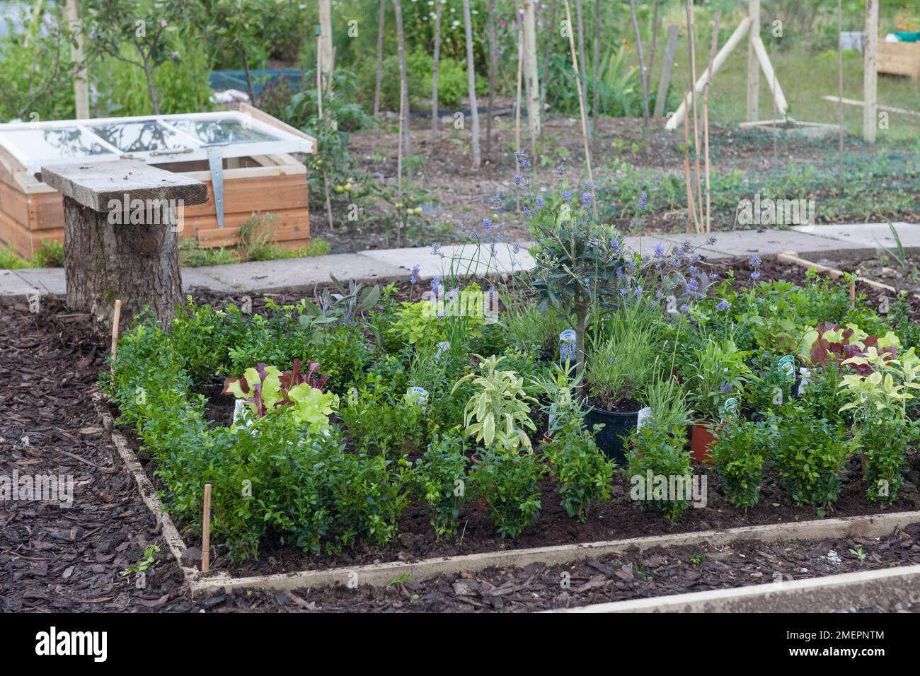 Box parterre hi-res stock photography and images - Alamy