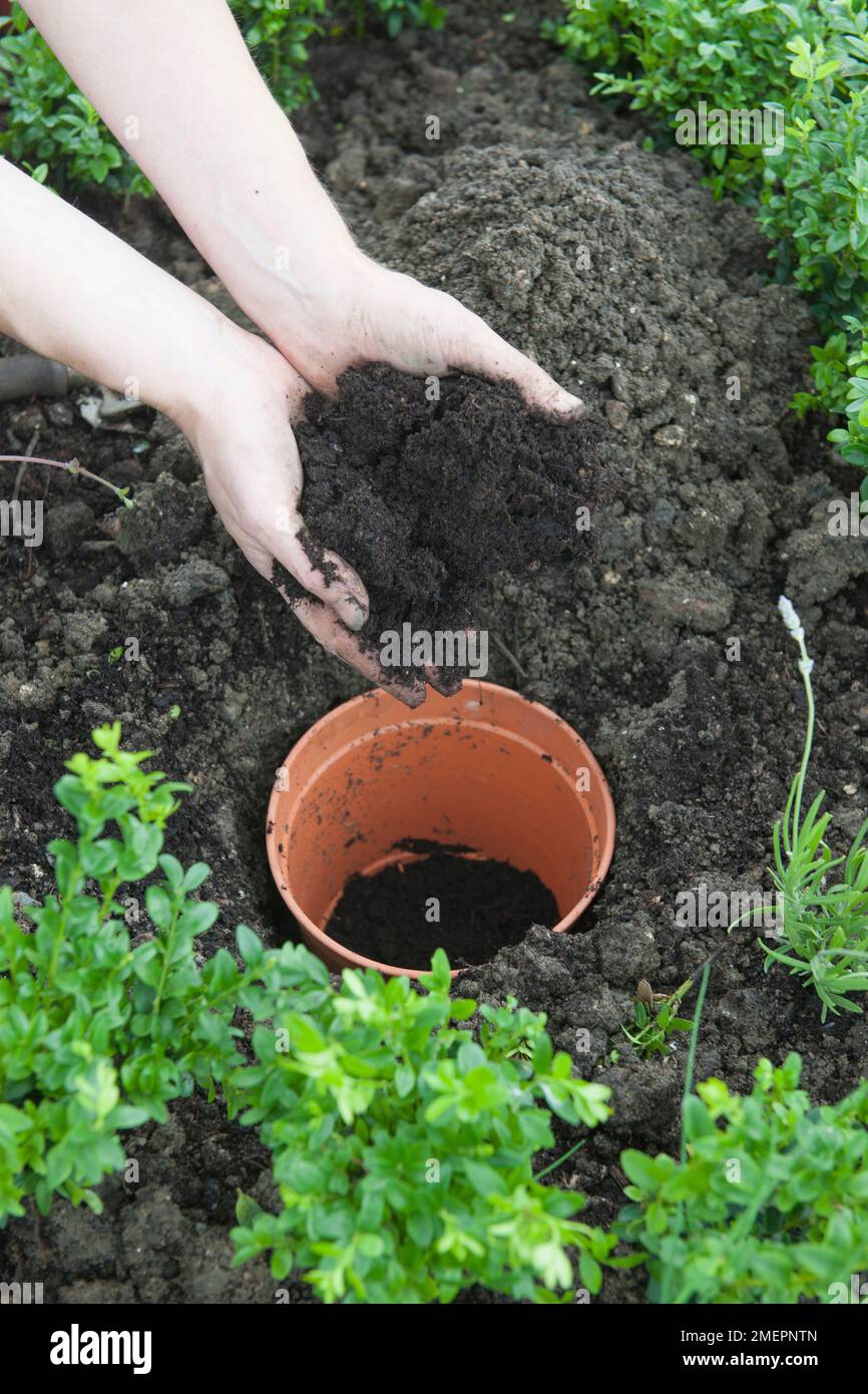 Woman filling up flowerpot soil hi-res stock photography and images - Alamy