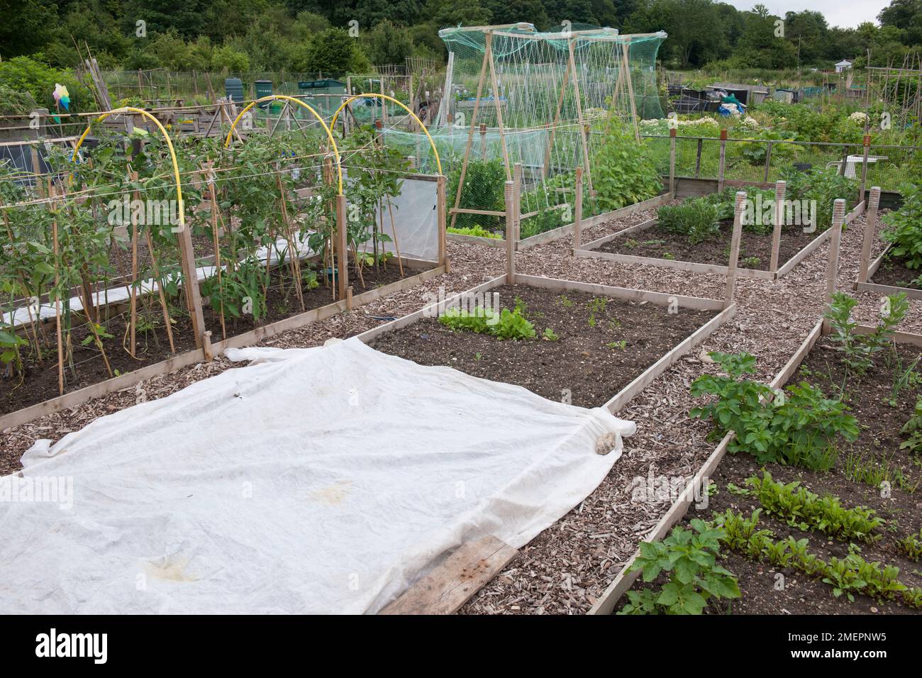 Protection membrane hi-res stock photography and images - Alamy