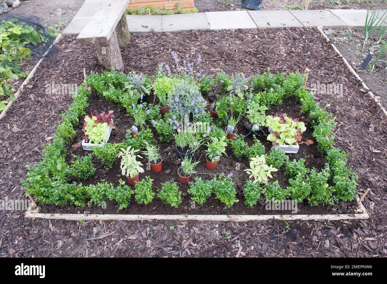 Box parterre hi-res stock photography and images - Alamy