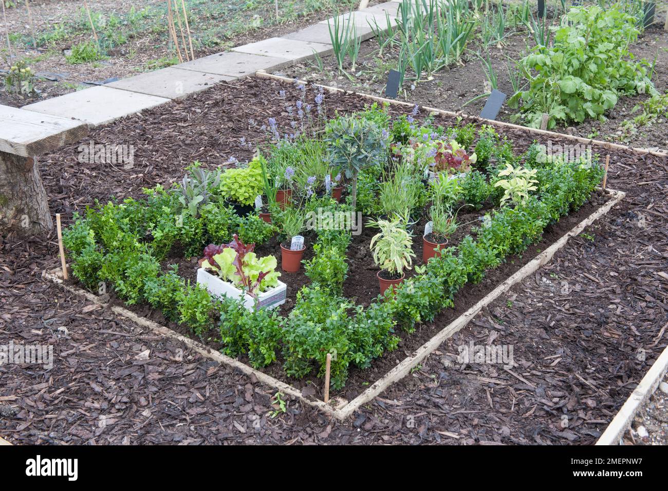 Box parterre hi-res stock photography and images - Alamy