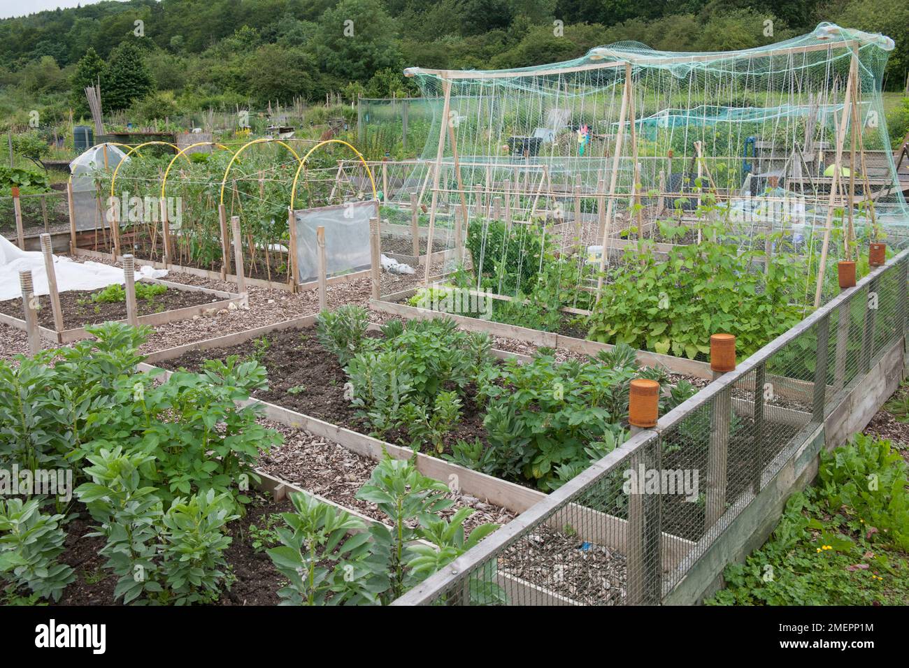 Allotment garden fence hi-res stock photography and images - Alamy