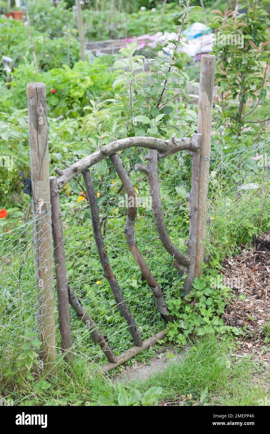 Gate grass hi-res stock photography and images - Alamy