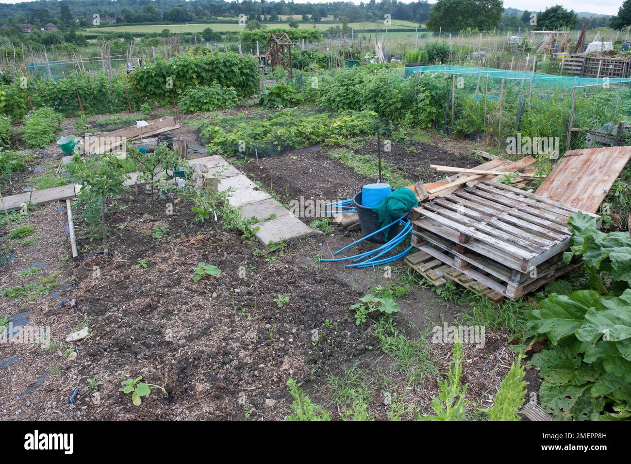 Allotment outdoor hi-res stock photography and images - Alamy