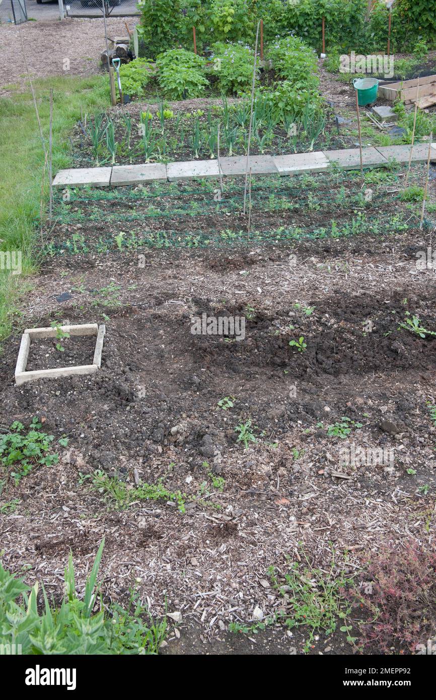 Allotment outdoor hi-res stock photography and images - Alamy