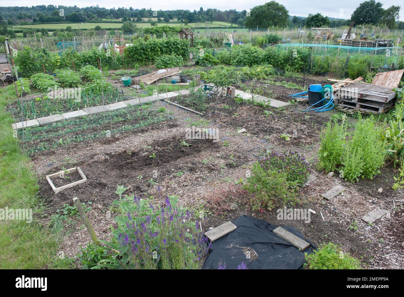 Outside outdoors daytime horizontal hi-res stock photography and images ...