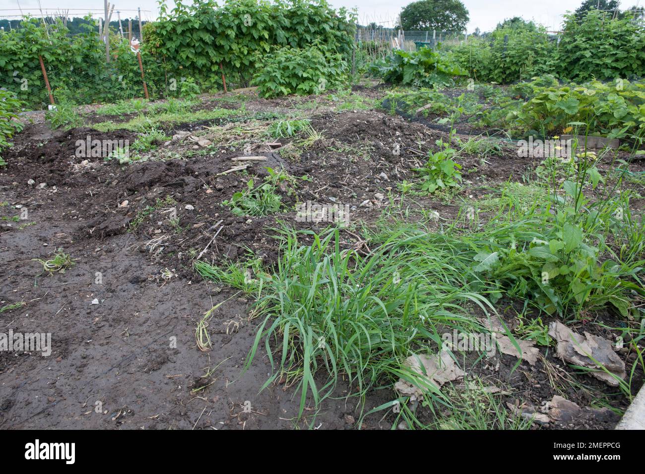 Horizontal outdoor outside hi-res stock photography and images - Alamy