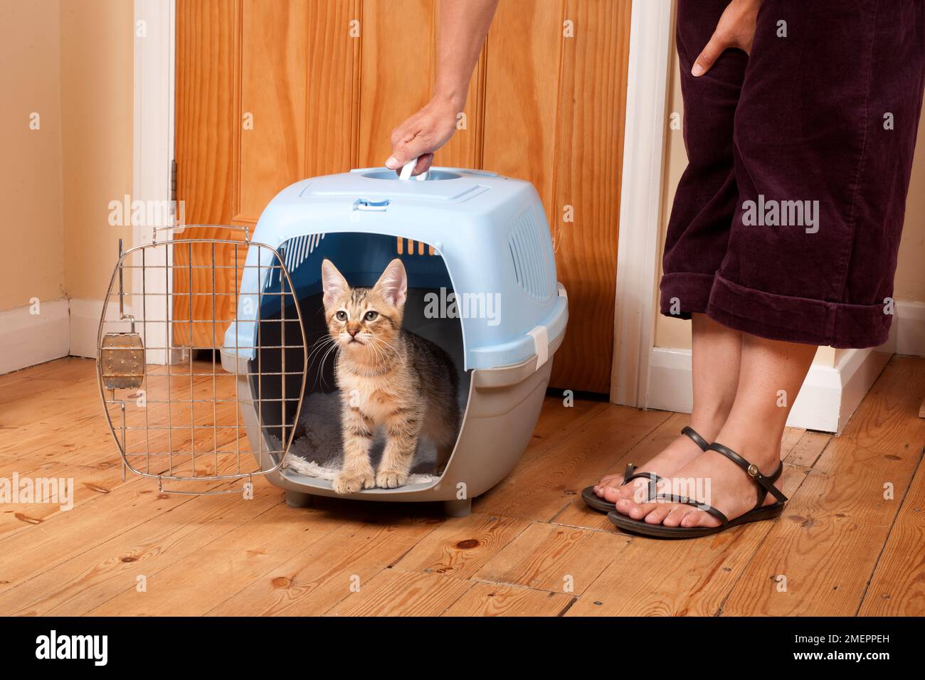 Female carrier hi-res stock photography and images - Alamy