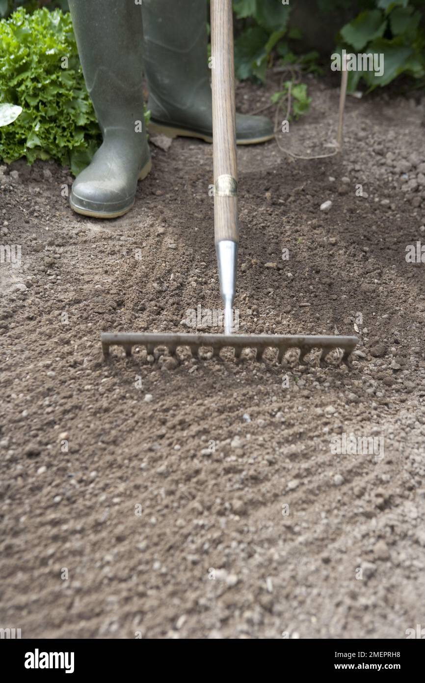 Sequence of legs hi-res stock photography and images - Alamy