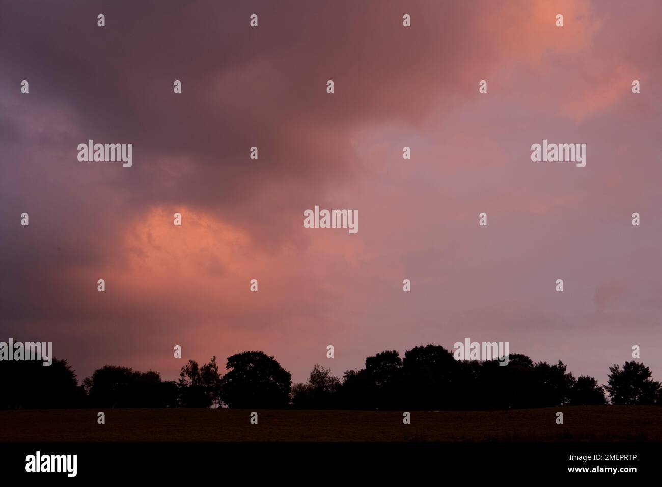 Red sky over silhouette of trees in countryside Stock Photo - Alamy