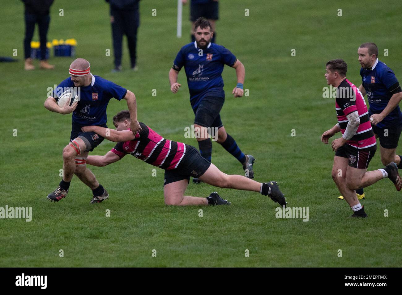 Rugby match, rugby game, rugby player, rugby scrum, rugby tackle, rugby ...