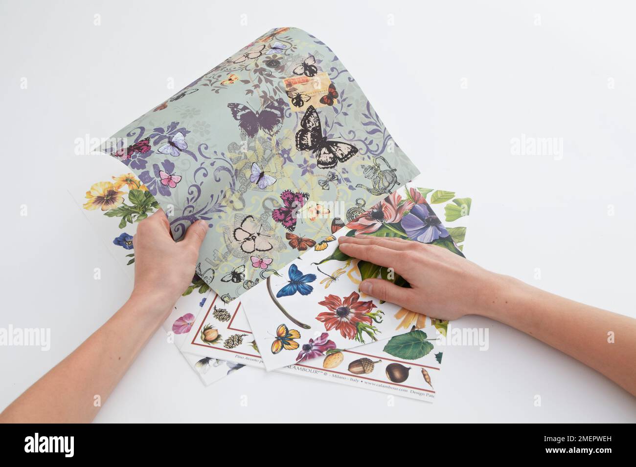 Choosing design hi-res stock photography and images - Alamy