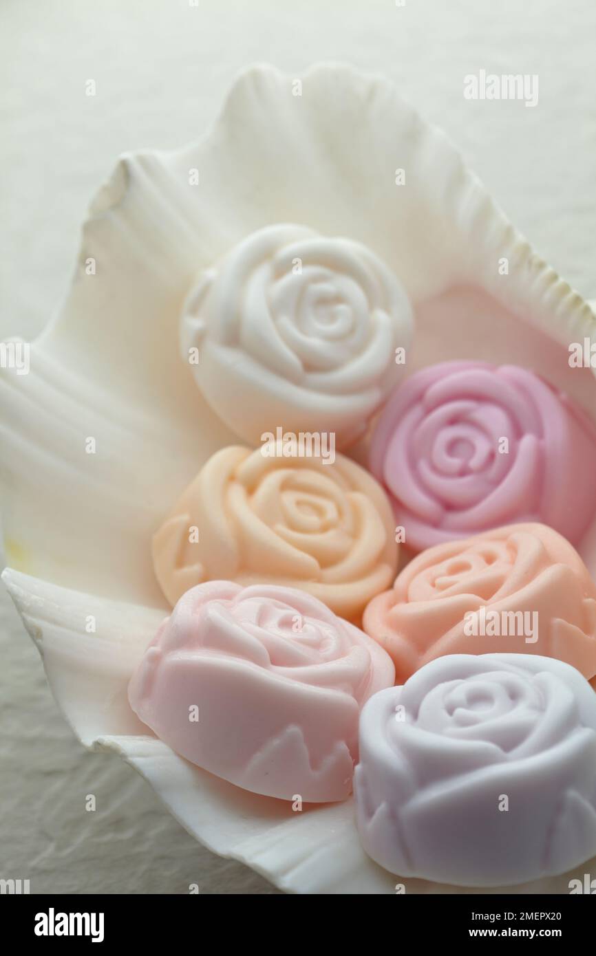Homemade rose soaps in shell, close-up Stock Photo - Alamy