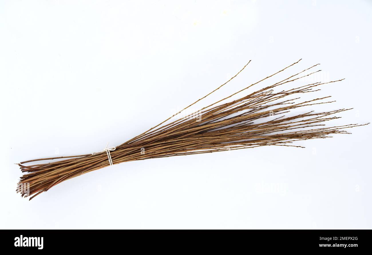 Bunch of willow dried with bark on and tied with string Stock Photo - Alamy