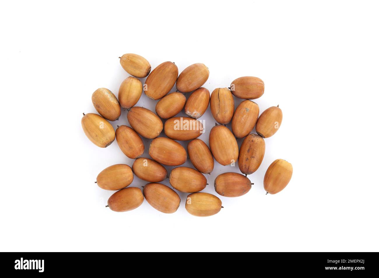 Close up above view Cut Out Stock Images & Pictures - Alamy