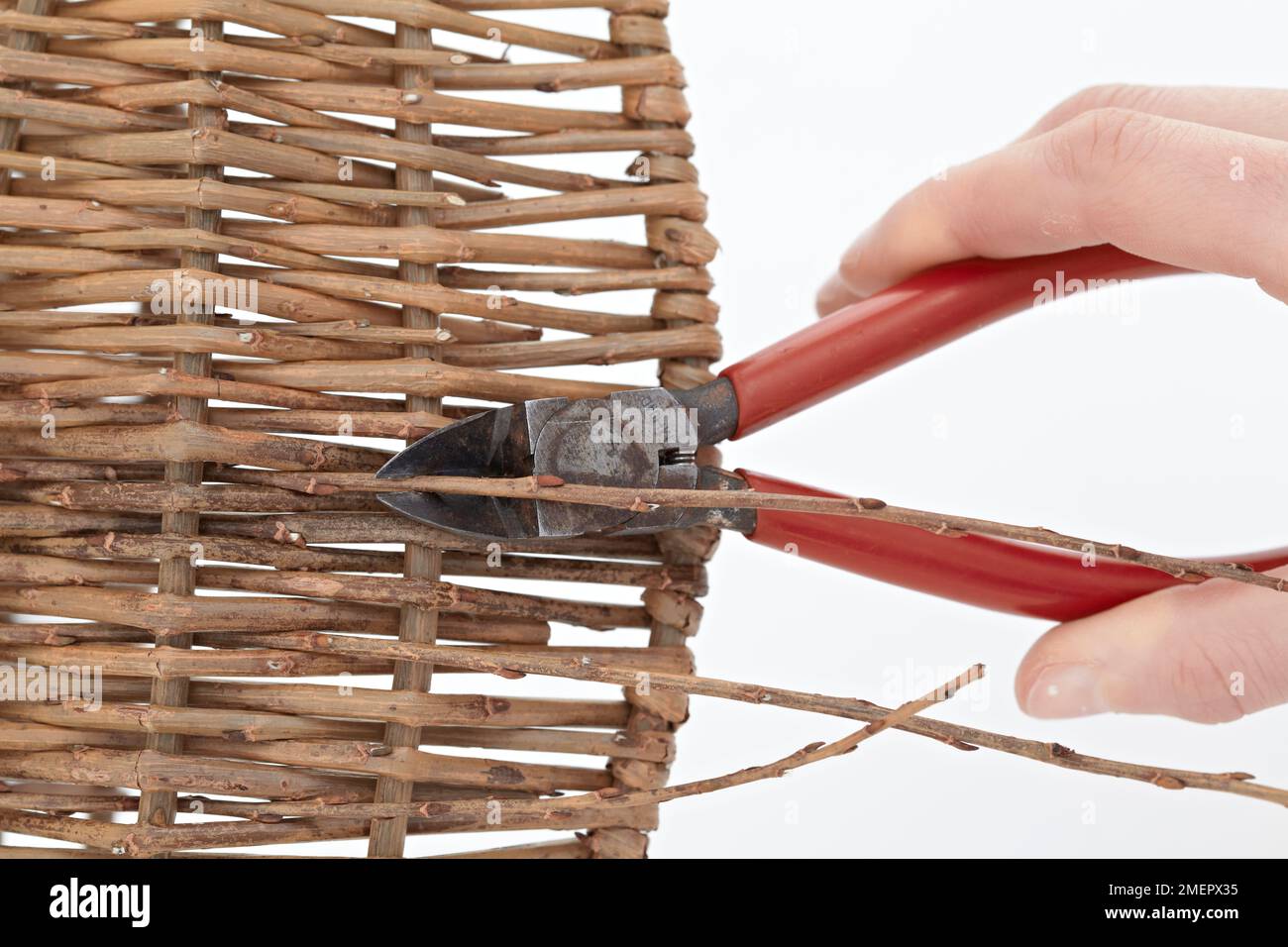 Using side cutters to trim away ends of basket willow, close-up Stock ...