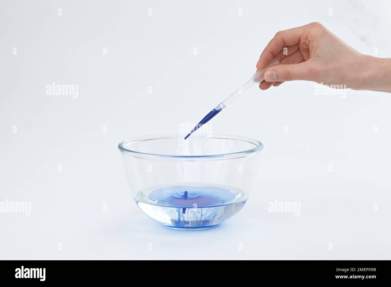 Using pipette to add drops of blue silk paint to water in glass bowl ...
