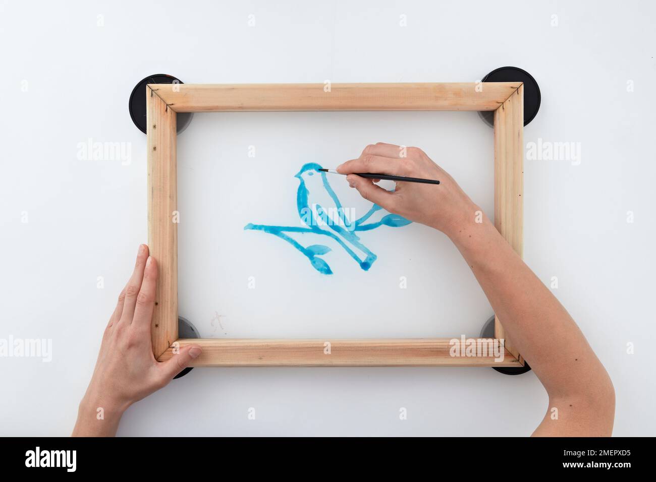 Using paintbrush to apply drawing fluid to bird template on silkscreen ...