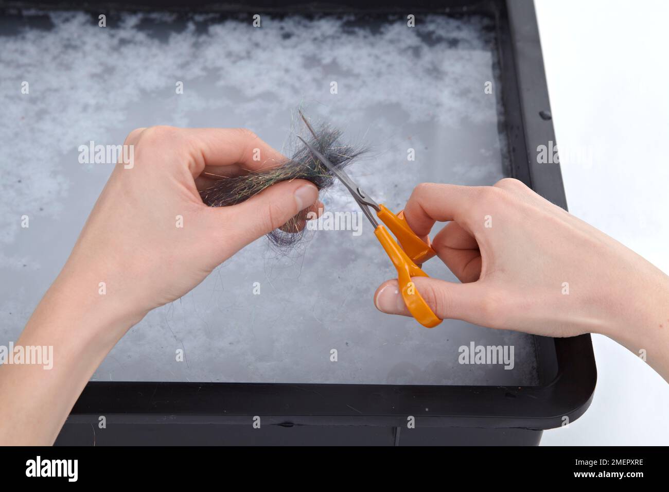 Using scissors to cut Angelina fibre above tray of paper pulp, close-up ...