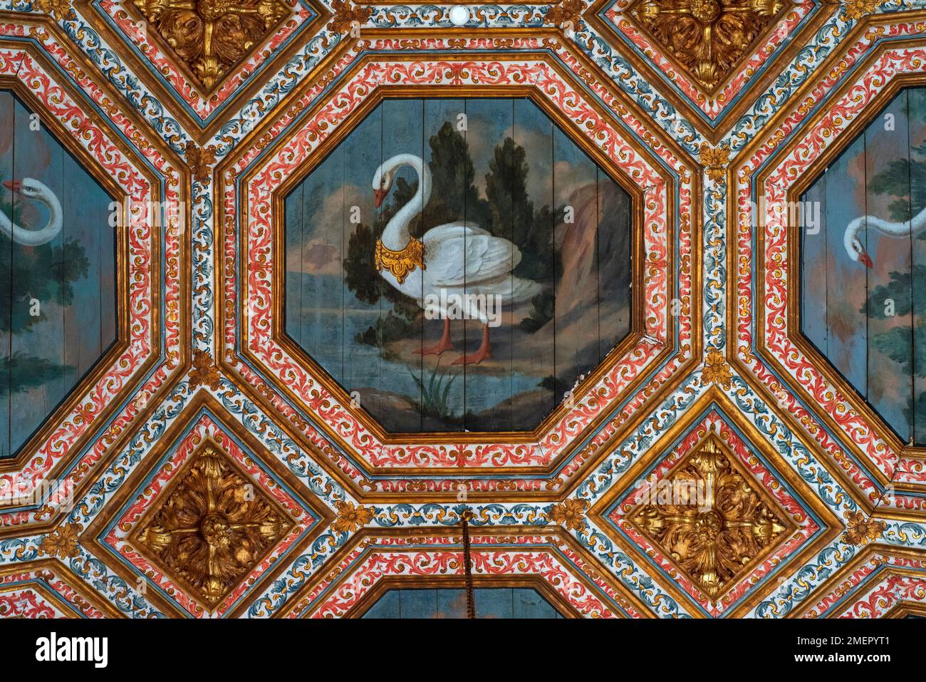 Some of the 30 swans collared by inverted crowns, painted in the 1400s ...