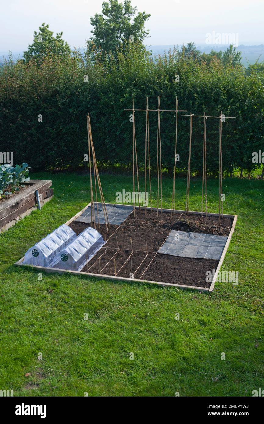 Vegetable patch, bed, plot, allotment being prepared for sowing seeds ...
