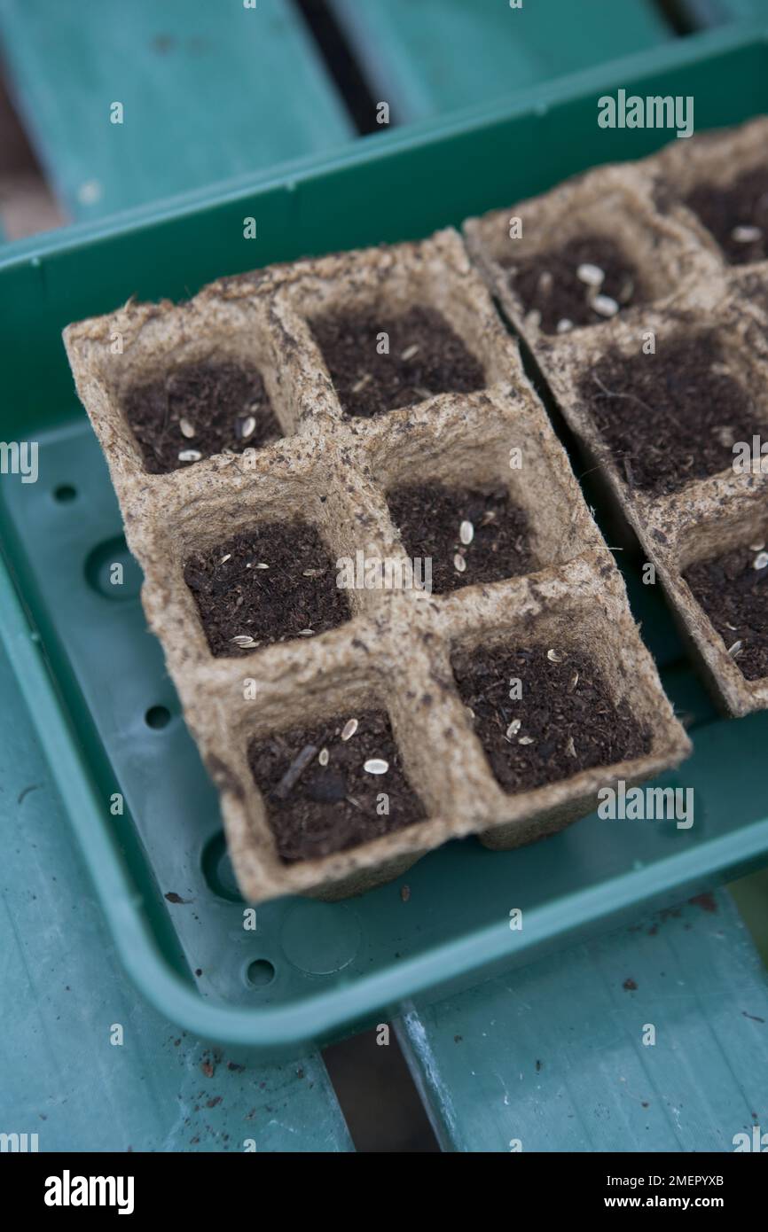 Biodegradable modules hi-res stock photography and images - Alamy