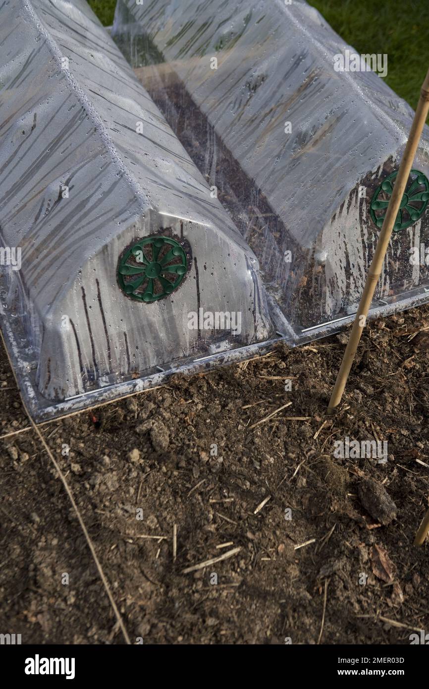 Cloches, soil warming, crop protection for a vegetable bed Stock Photo ...