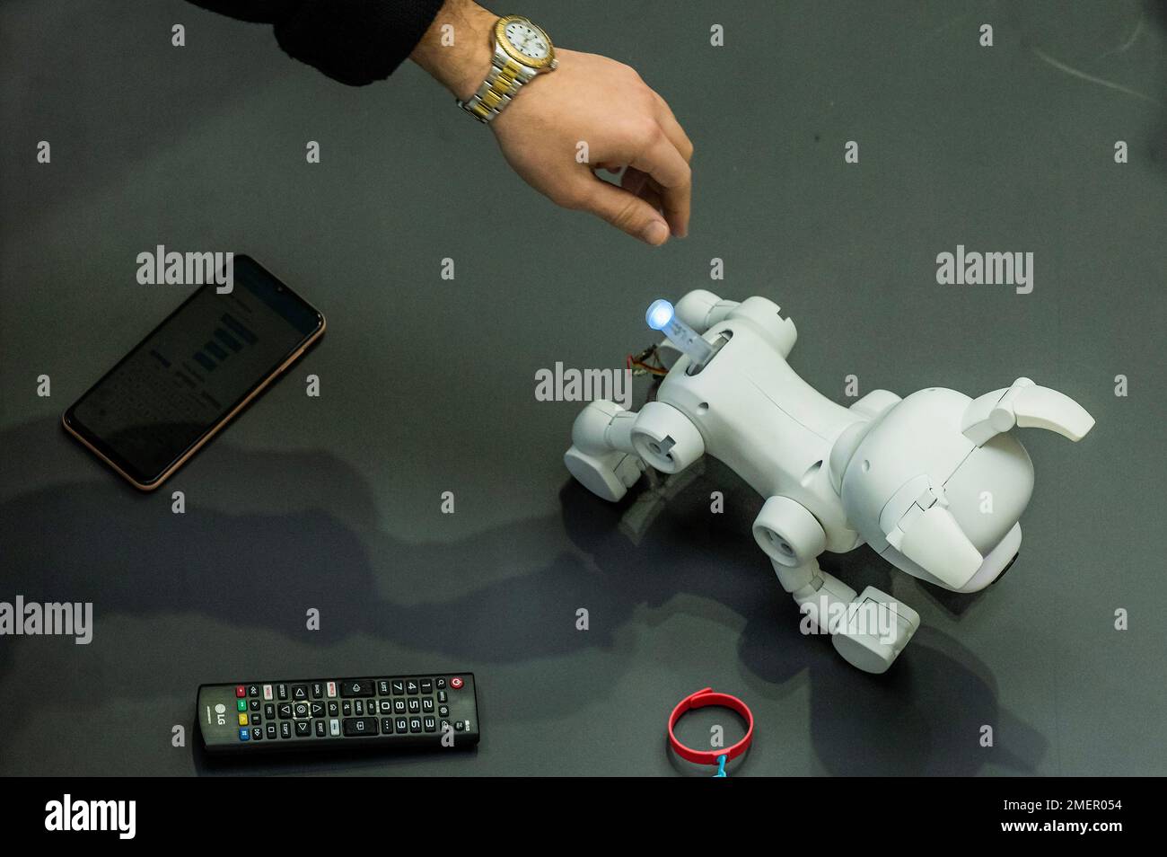 London, UK. 24th Jan, 2023. Dogee a robotic mini dog toy controllable ...