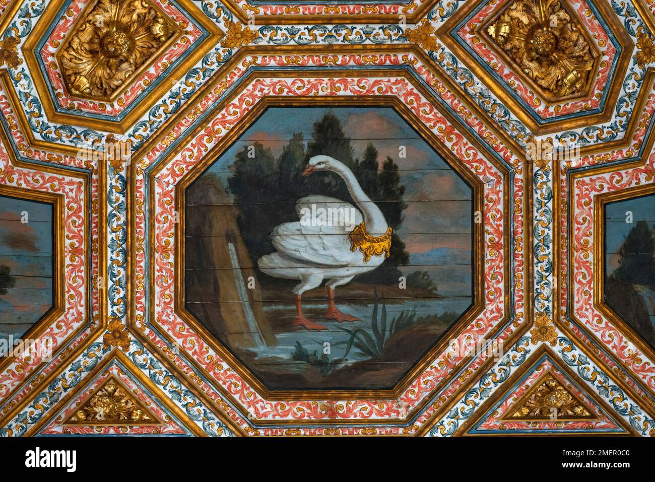 Swan wearing crown hi-res stock photography and images - Alamy