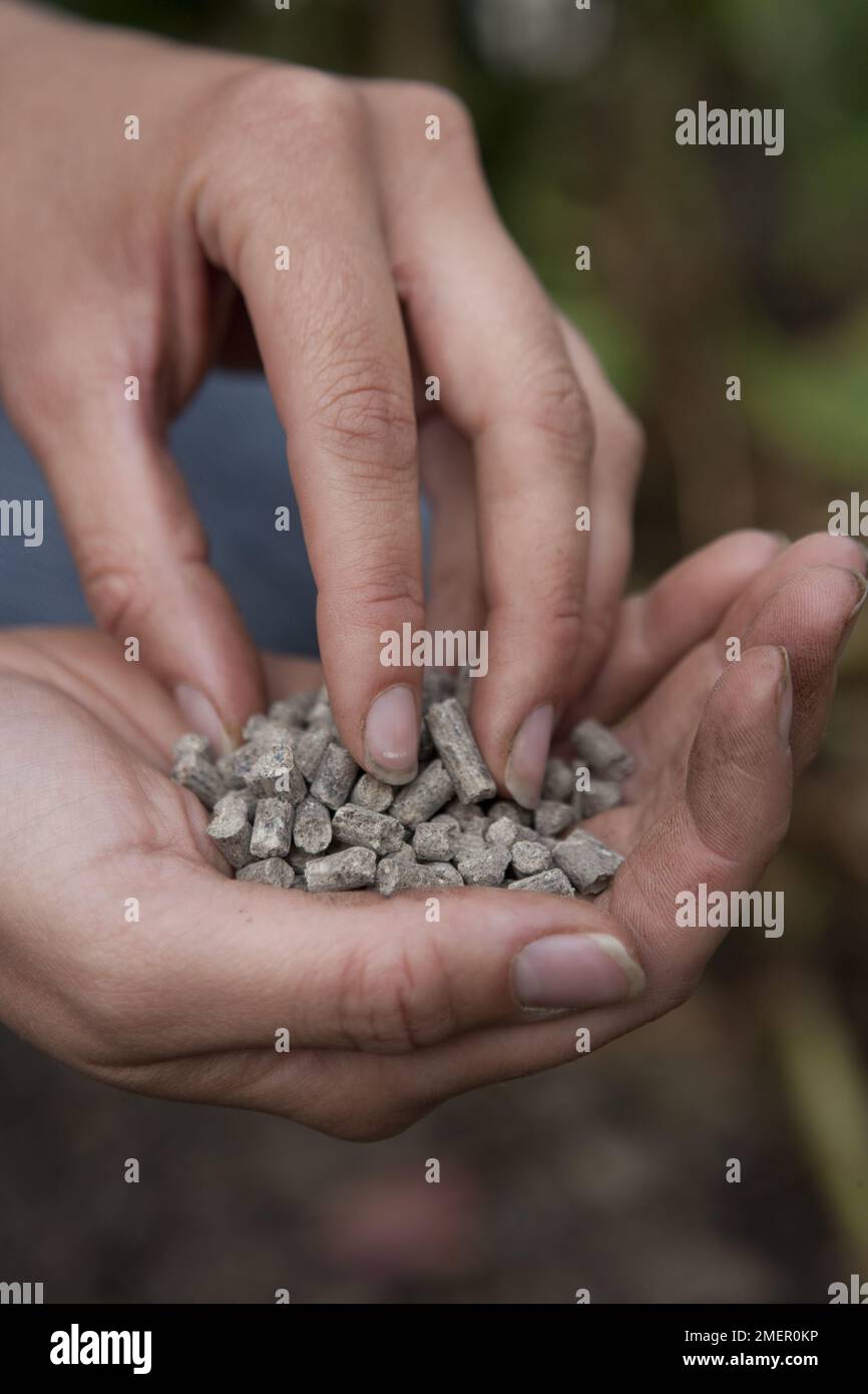 General purpose granular fertilizer, plant feed Stock Photo - Alamy General purpose granular fertilizer, plant feed Stock Photo - Alamy