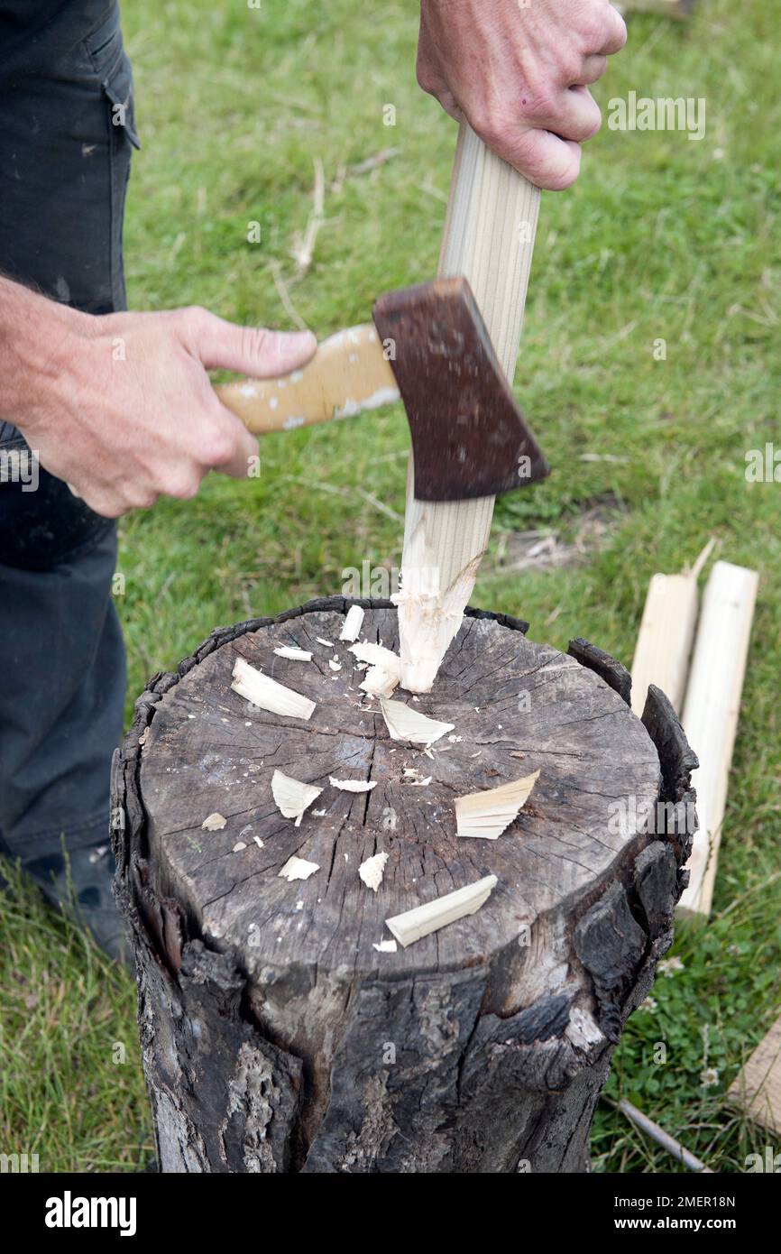 Using hatchet to cut one end of stake into a point, to be used as ...