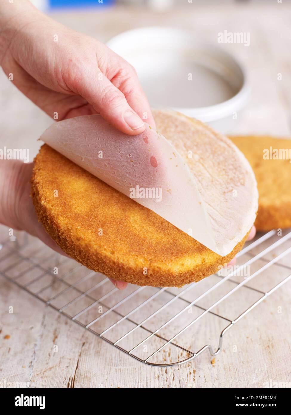 Sponge paper hi-res stock photography and images - Alamy