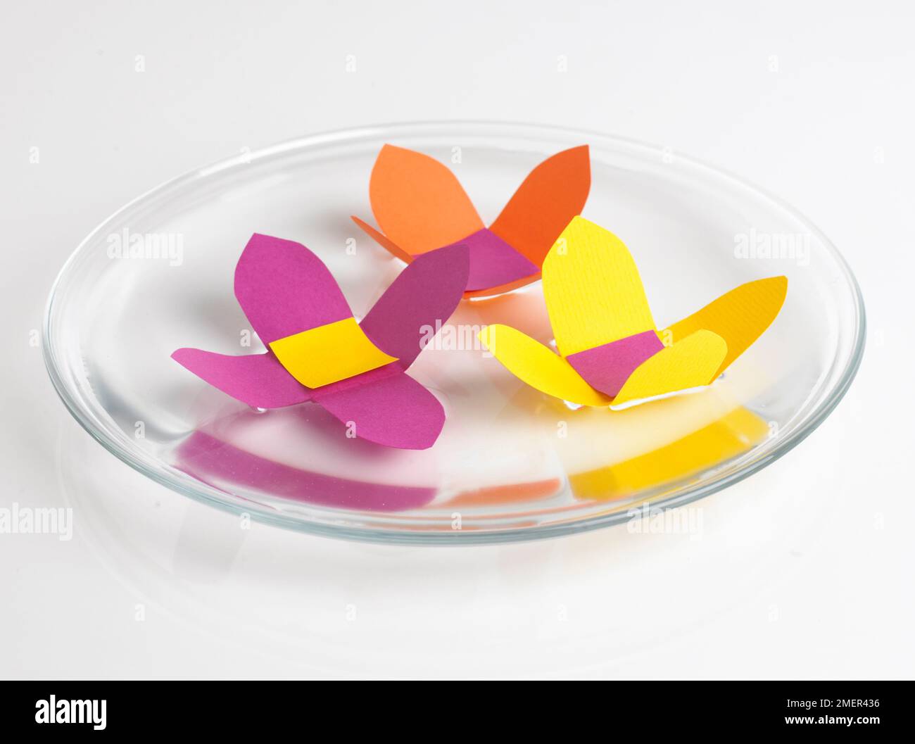 Paper plate craft hi-res stock photography and images - Alamy