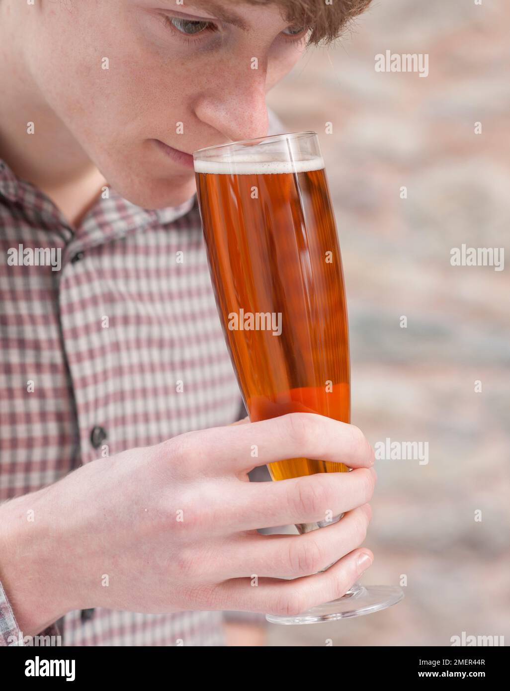 Tasting beer, smelling Stock Photo - Alamy