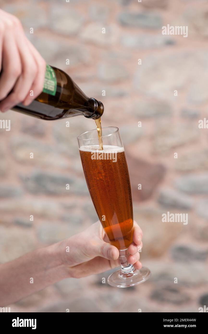 Tasting beer, pouring Stock Photo - Alamy