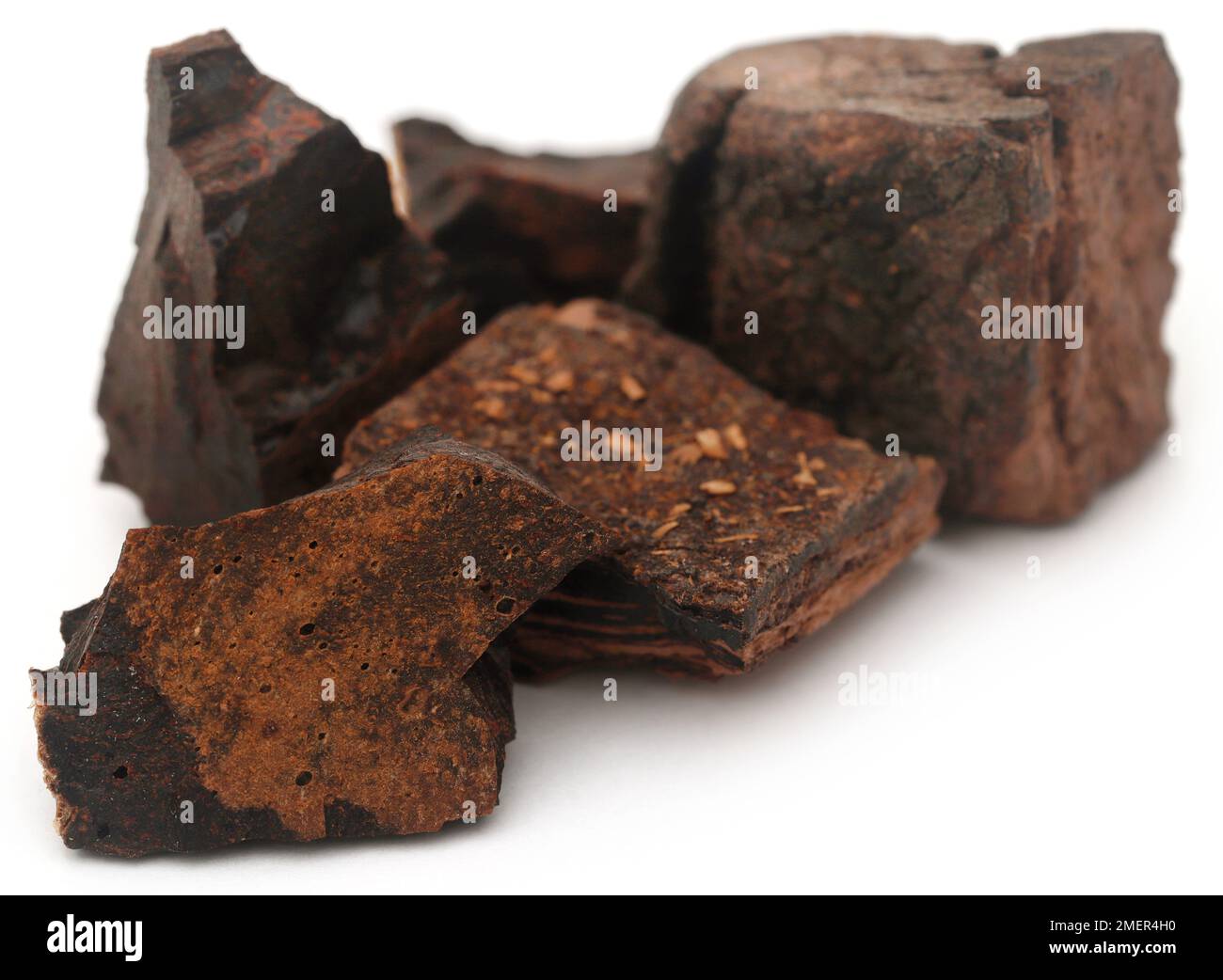 Edible black catechu extracted from acacia trees Stock Photo - Alamy