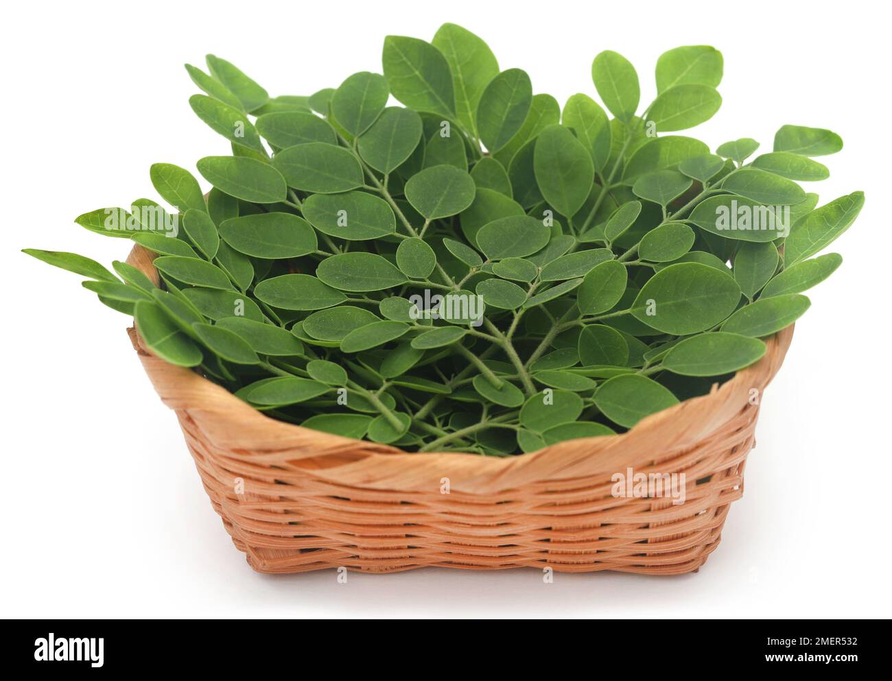 Edible Moringa leaves fresh and organic in a basket Stock Photo - Alamy