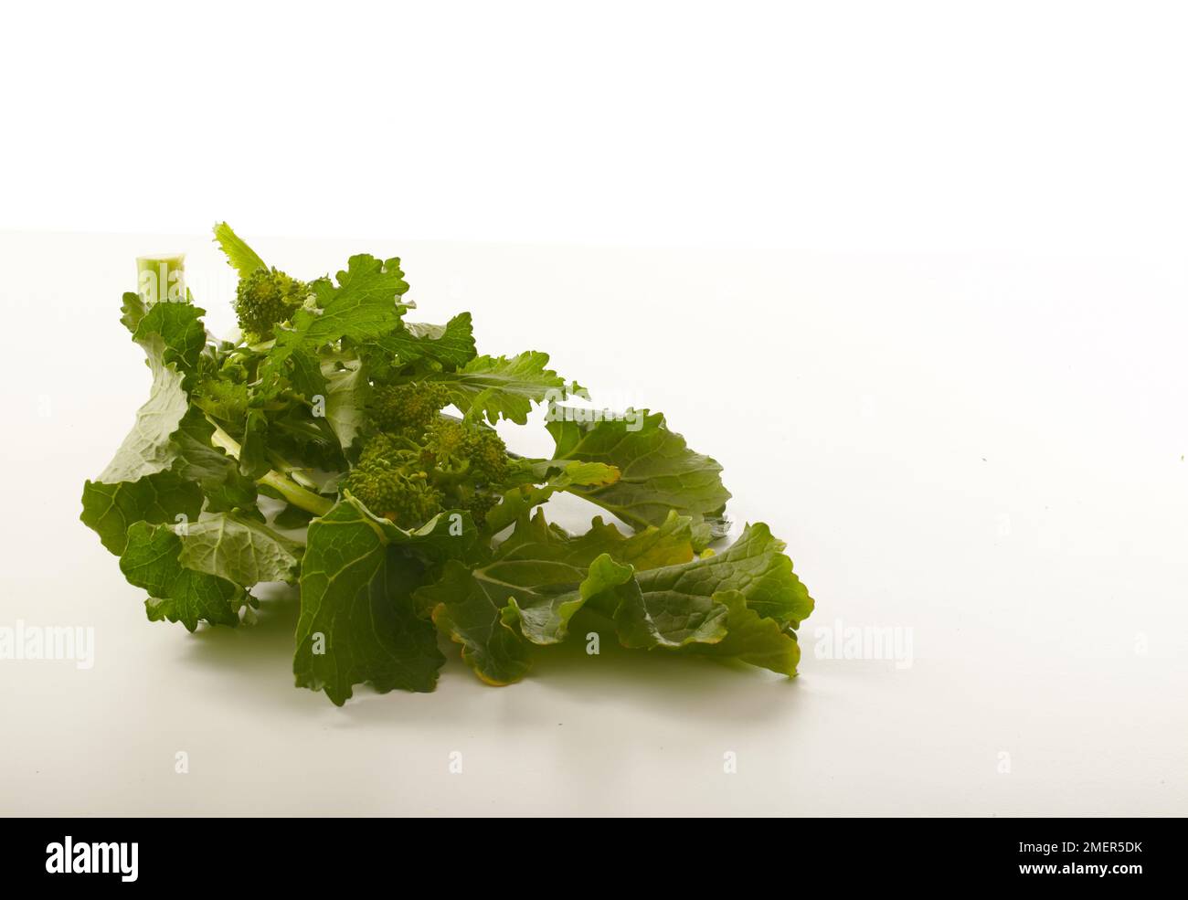 Mustard green leaf Stock Photo - Alamy